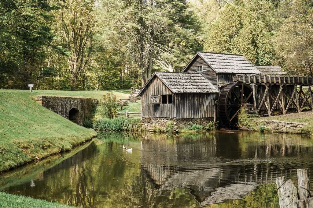 Got Cabin Fever? Feeling Stressed? Here Are Some Resources To Help ...